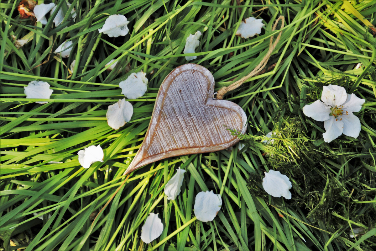 Live Divine Products – Live Simply Divine